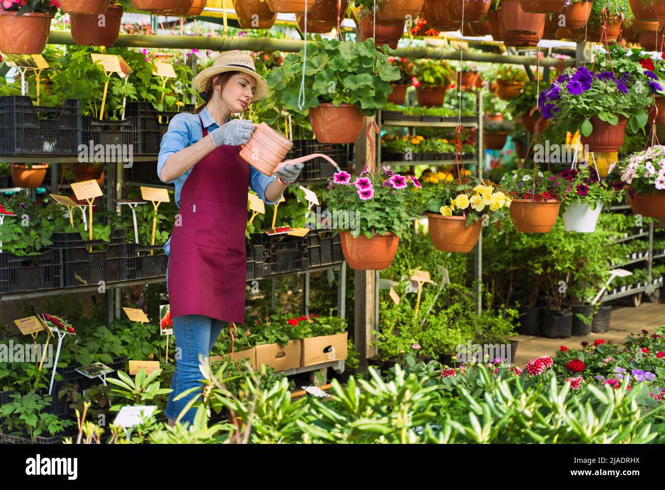 Work farmer gardener flowers hi-res stock photography and images - Alamy