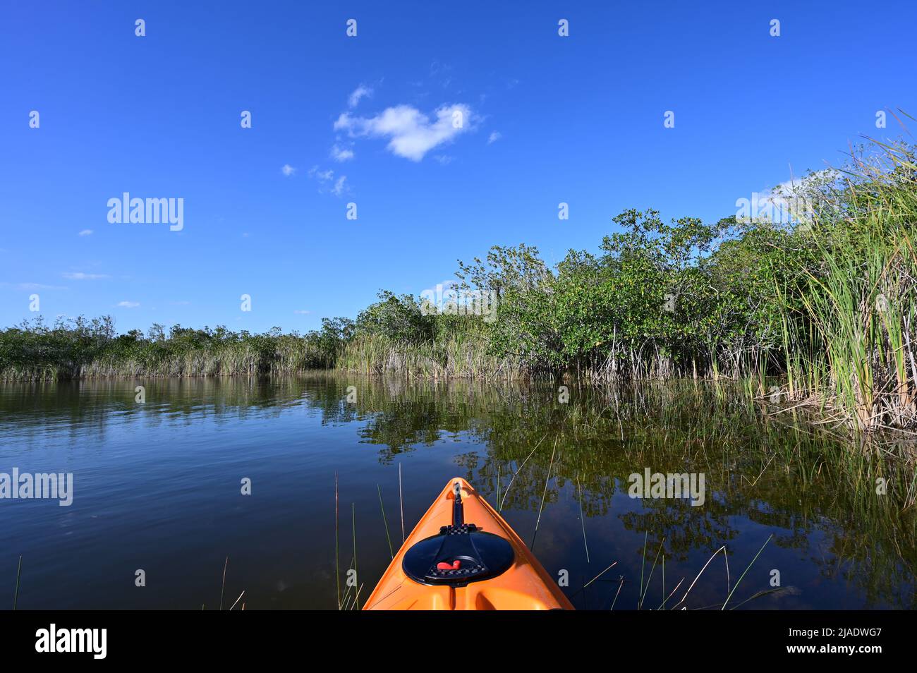 Front of orange kayak on Nine Mile Pond in Everglades National Park ...