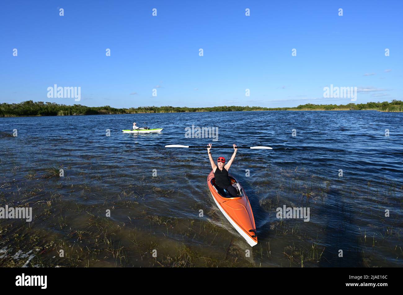 Woman and active senior kayaking on Nine Mile Pond in Everglades ...