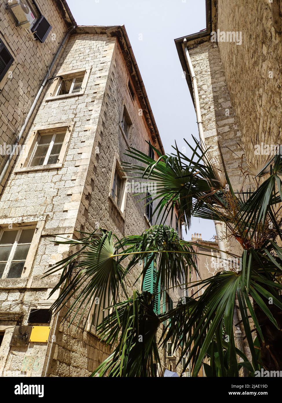 Beautiful narrow street with palm tree in old town of Kotor, Montenegro ...