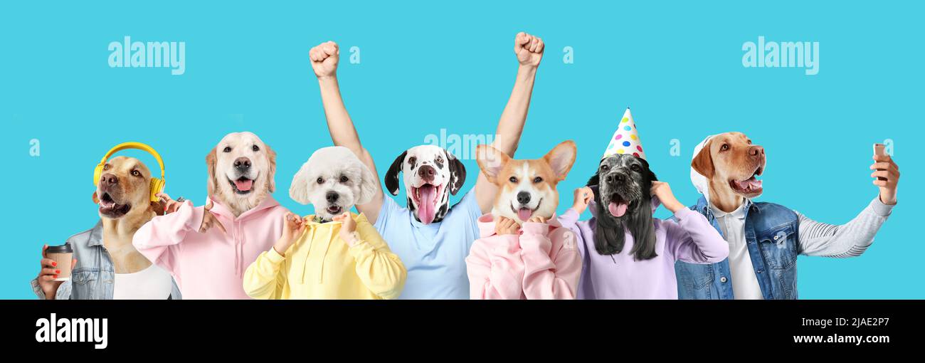Many cute dogs with human bodies on light blue background Stock Photo ...