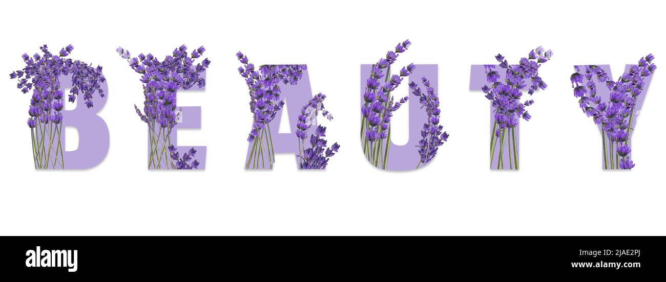 Word BEAUTY with fresh lavender flowers on white background Stock Photo ...