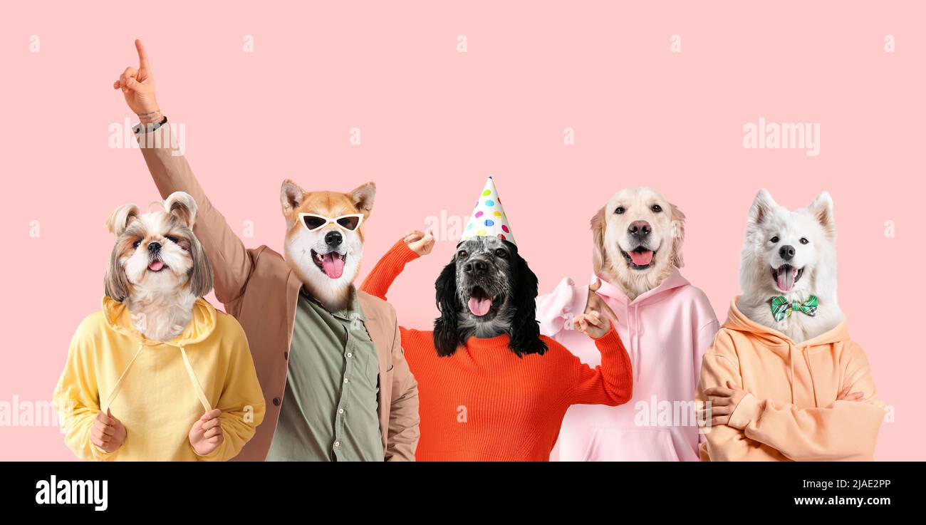 Many cute dogs with human bodies on pink background Stock Photo - Alamy