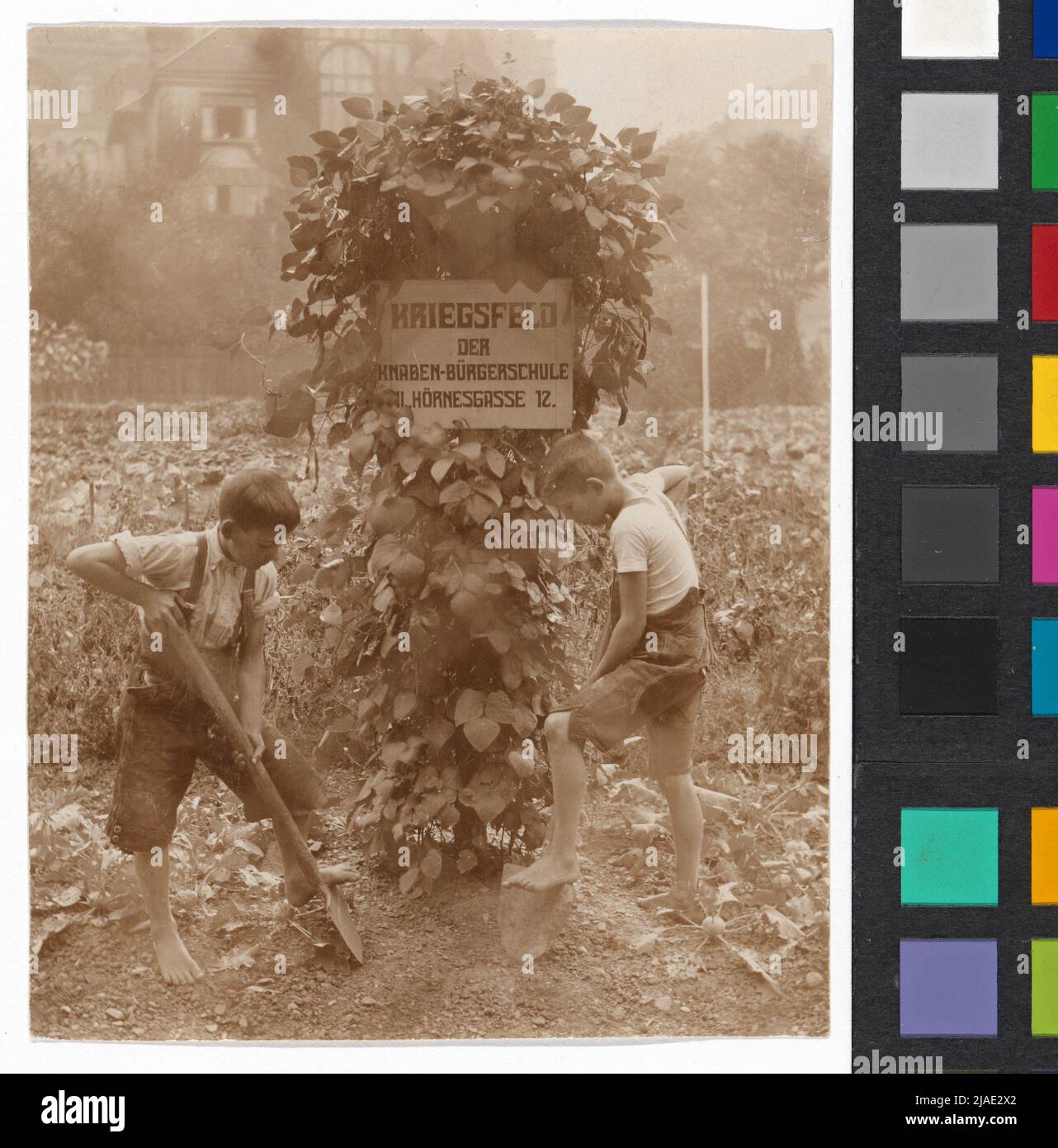 War vegetable garden / war vegetable field of the boys' school, III ...