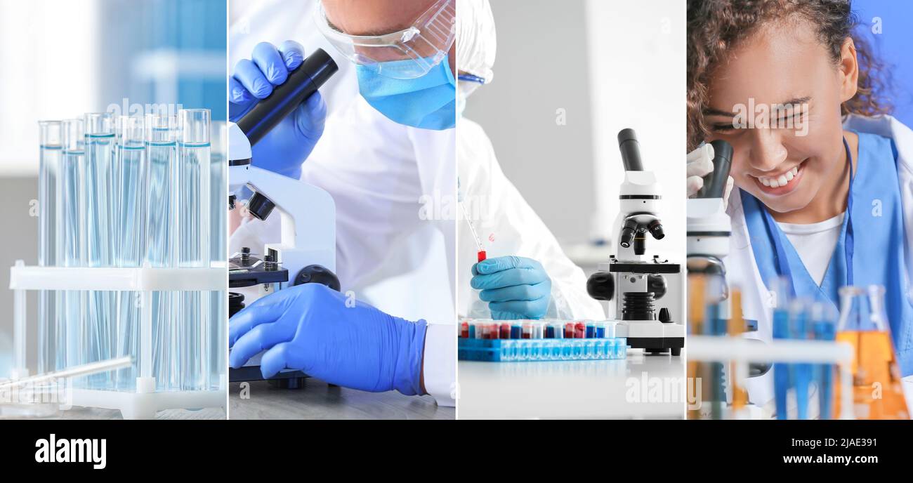Collage with scientists working with samples and microscopes in laboratory Stock Photo - Alamy