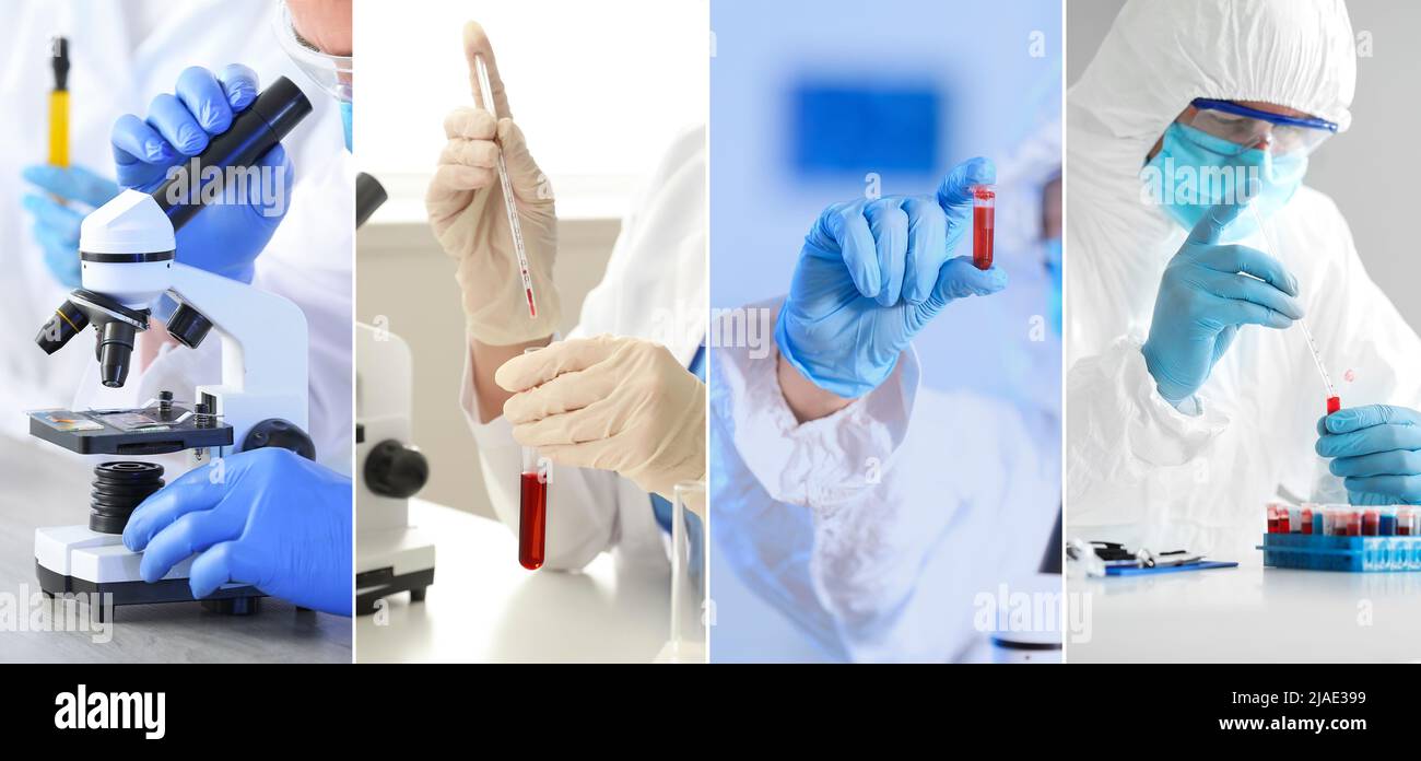 Collage with scientists working with samples in laboratory Stock Photo ...