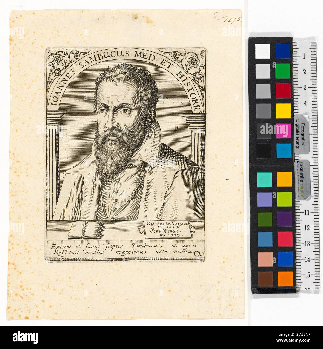 Jace Cut Out Stock Images & Pictures - Alamy