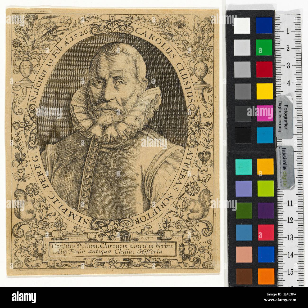 Carolus Clusius (Charles de l´ecluse) (1526-1609). After: Theodor de ...