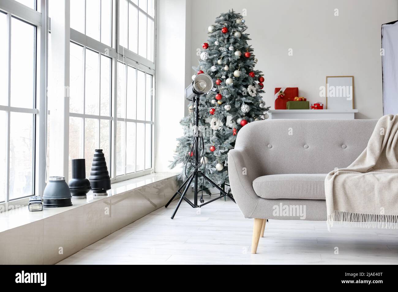 Christmas tree, sofa and lighting equipment in modern photo studio ...