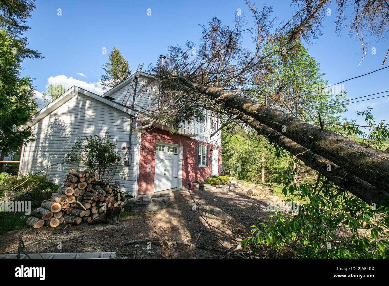 A damaged house with the tree still balanced on its rooftop in the ...