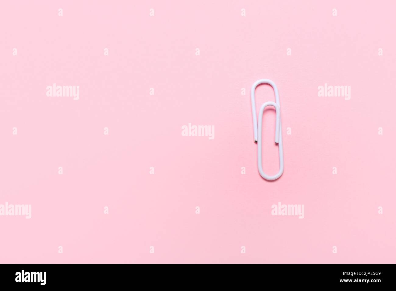 White paper clip on pink background Stock Photo - Alamy