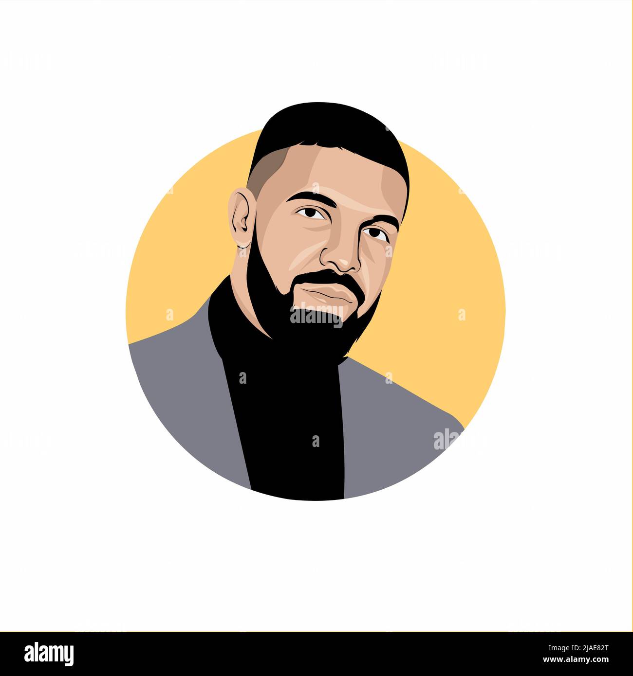 Drake Rapper Beard