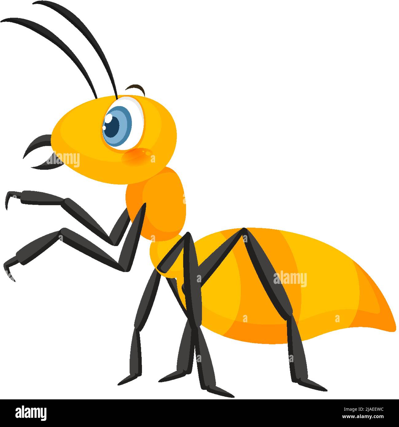 Yellow ant isolated on white background illustration Stock Vector Image ...
