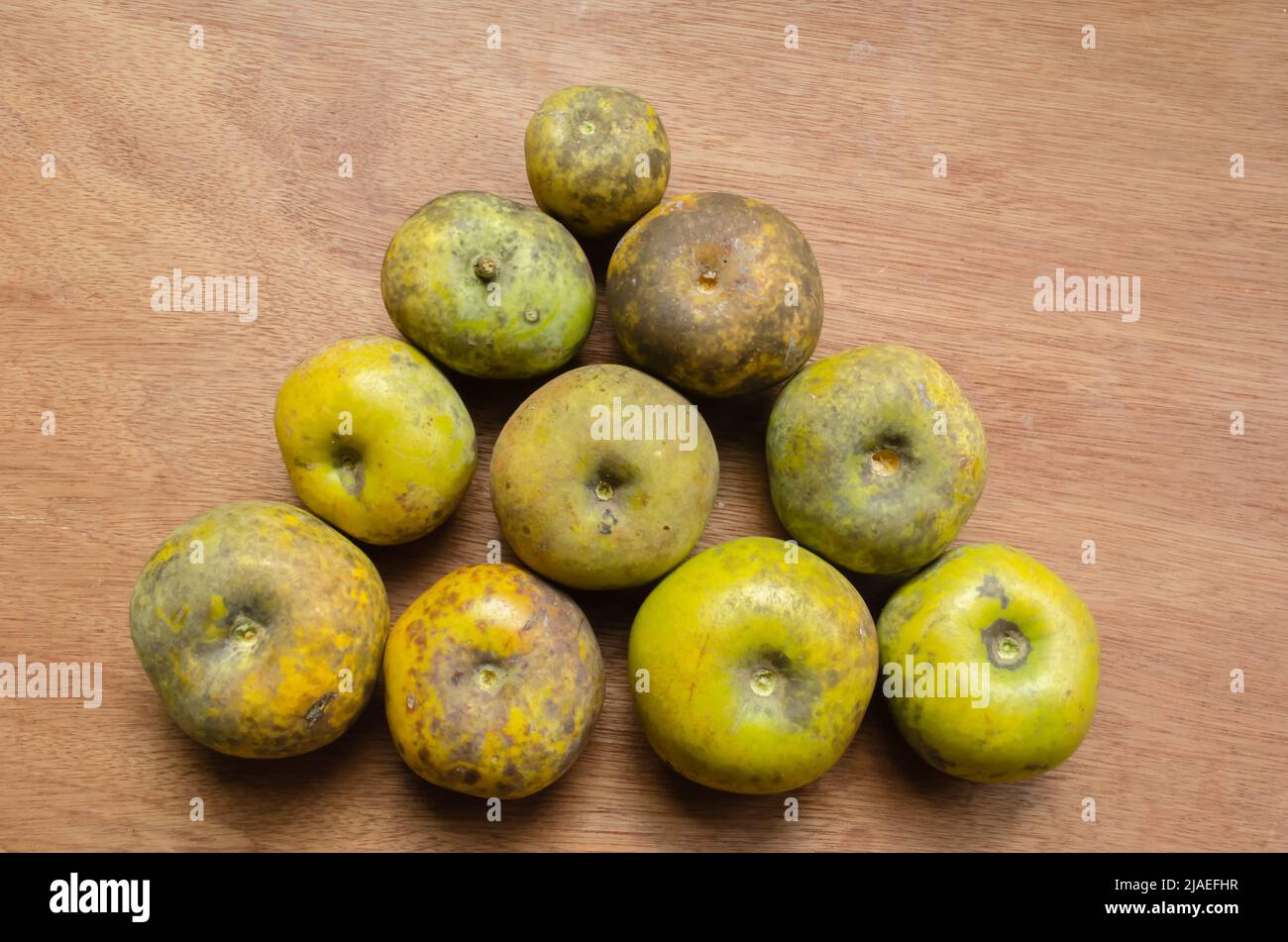 Yellow Ripe White Sapote Stock Photo - Alamy