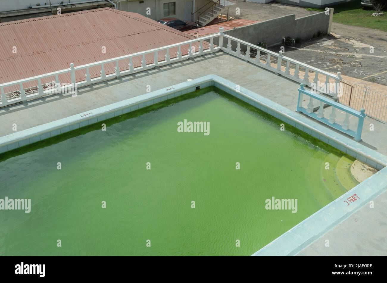 The untreated water inside the swimming pool is green because of the ...