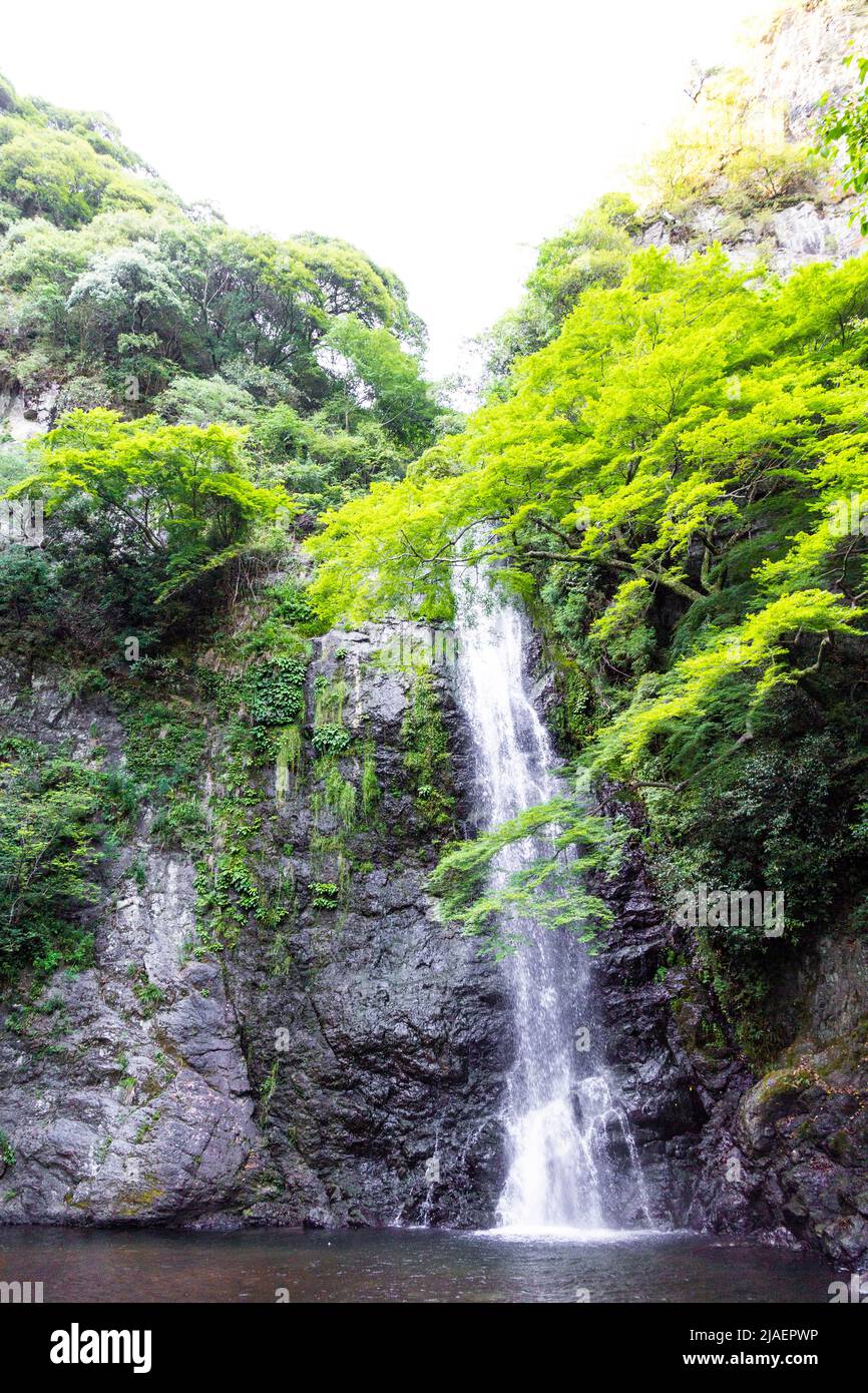 Mino waterfall in Osaka prefecture, Kansai, Japan Stock Photo - Alamy