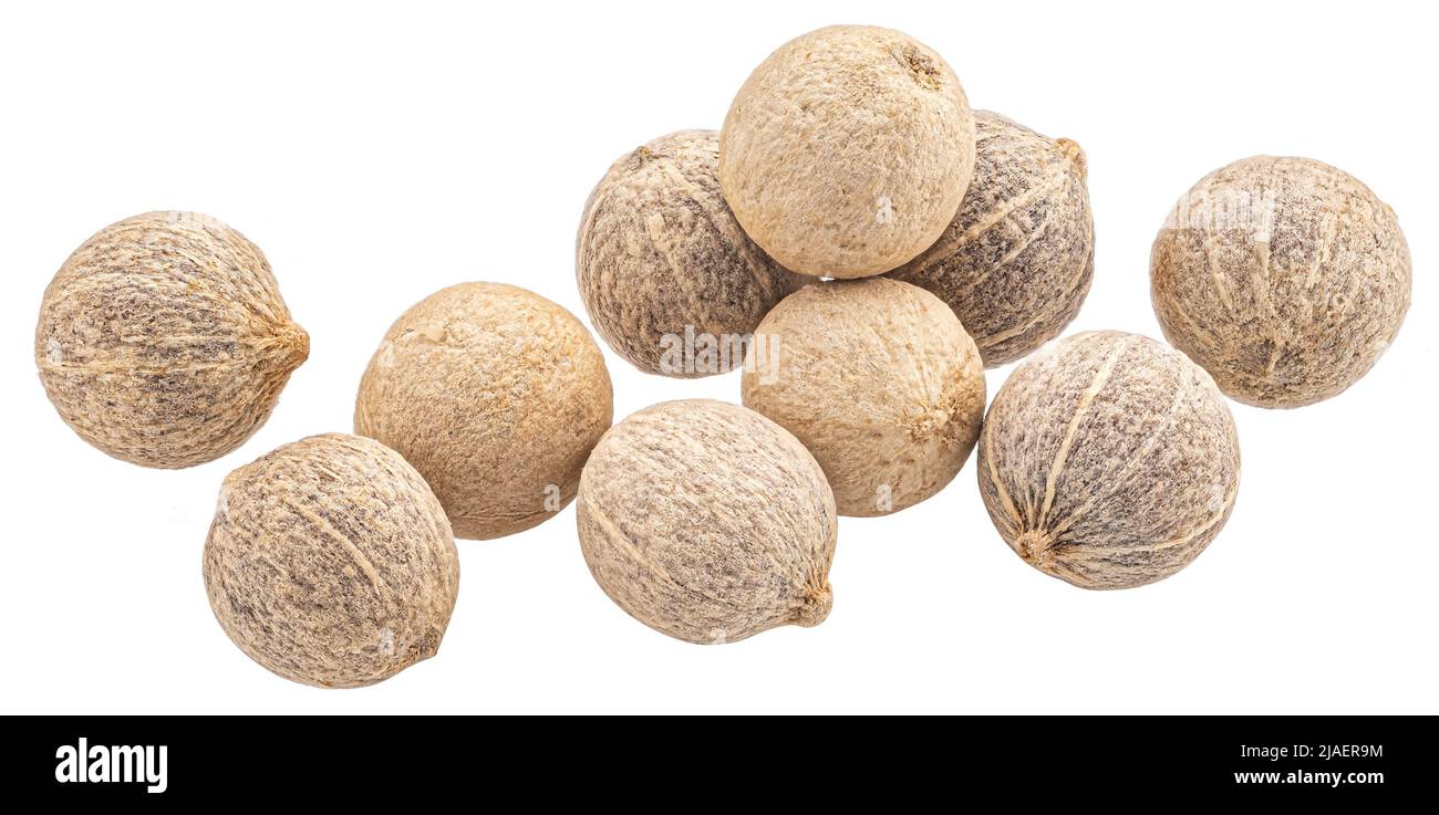 White peppercorns isolated on white background, full depth of field ...