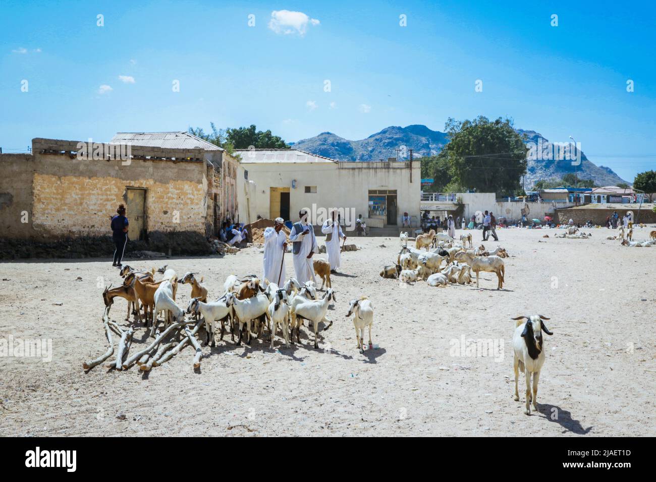 Goats Men Seller in Traditional White Dress on the Local Animal Market ...