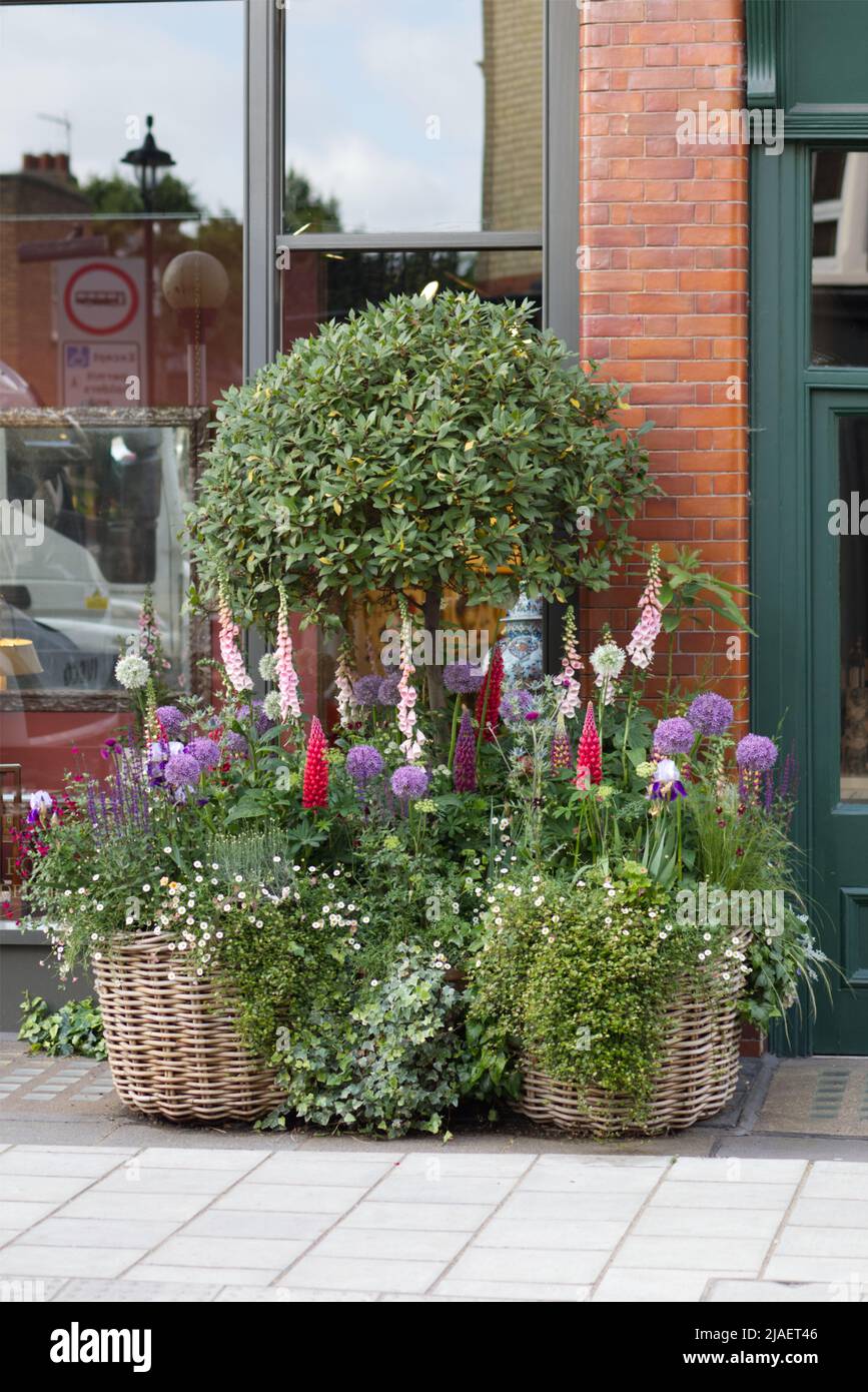 With stunning colour displays hi-res stock photography and images - Alamy