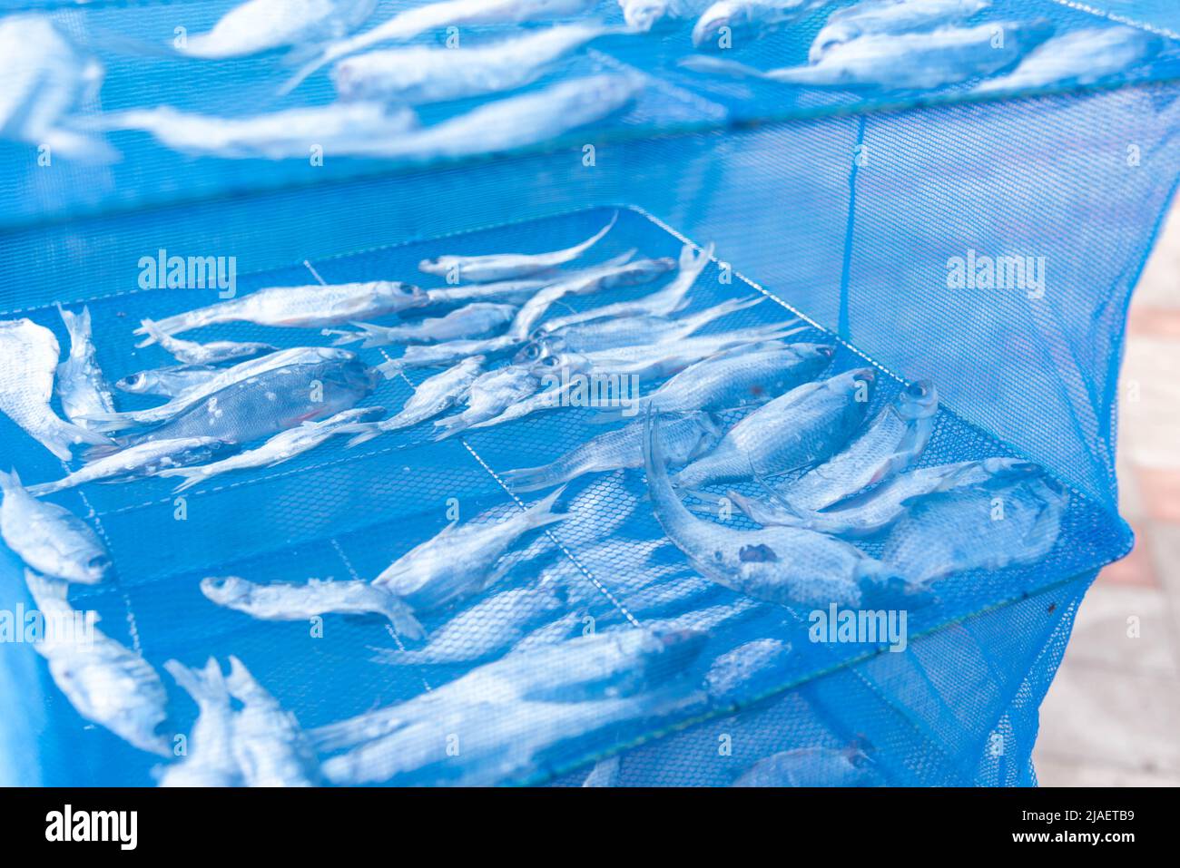 Inuit traditional fishing hi-res stock photography and images - Alamy