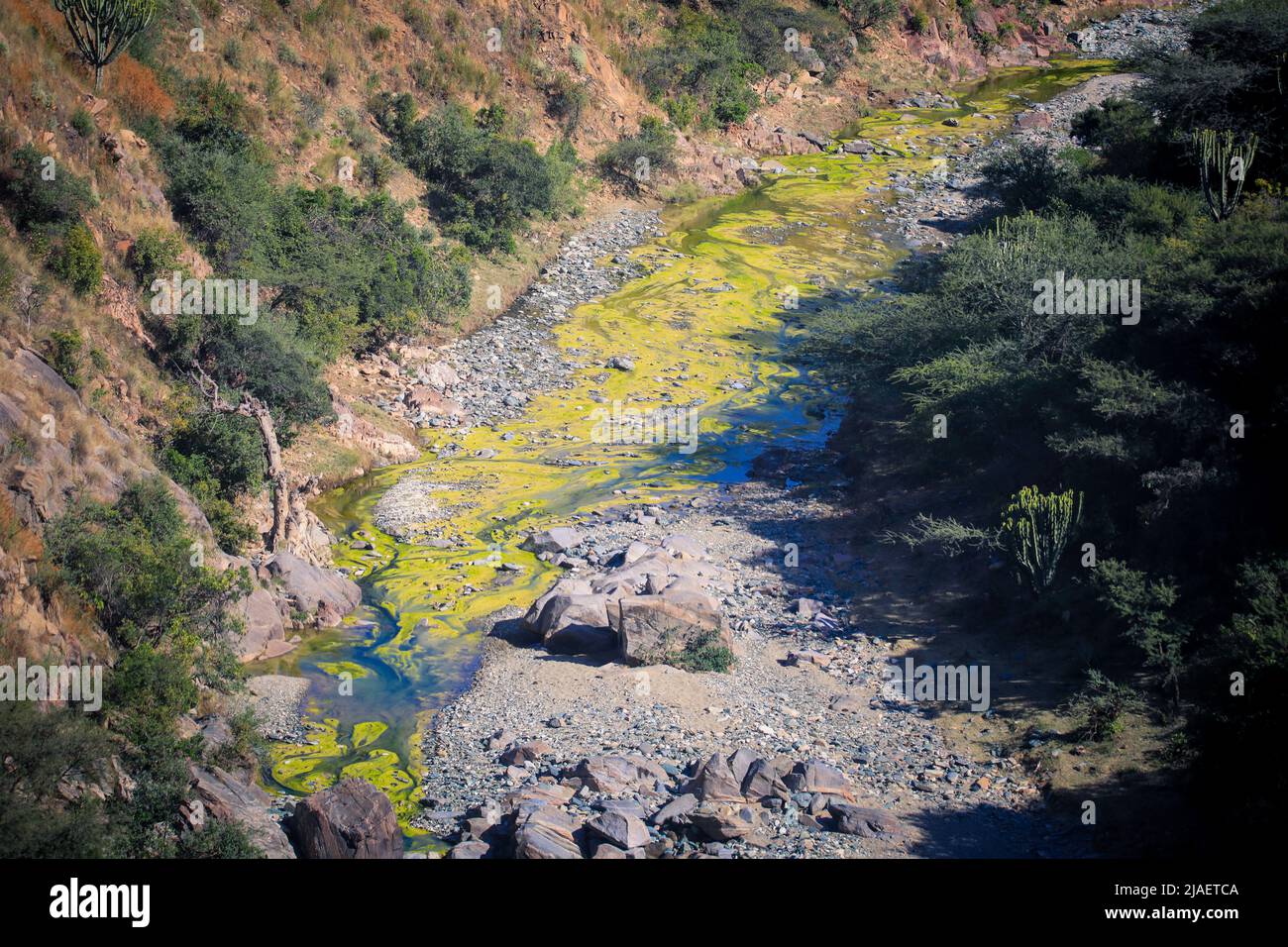 Dirty Green River in the Small Local Village near Keren Stock Photo - Alamy