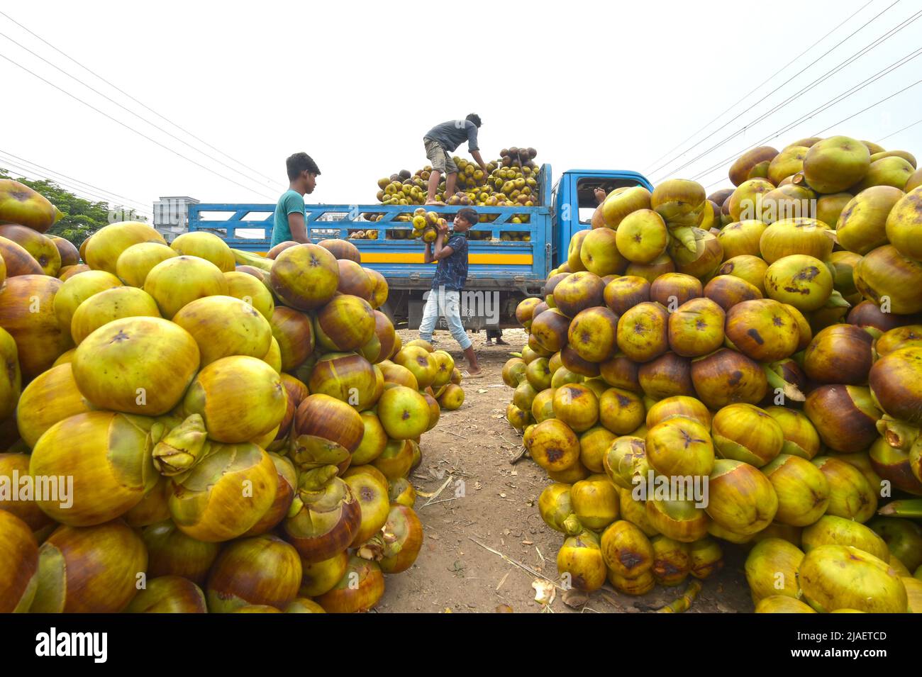 Fruits unload truck hi-res stock photography and images - Alamy
