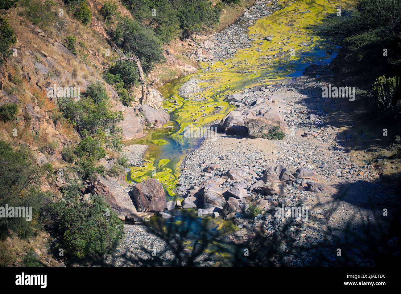 Dirty Green River in the Small Local Village near Keren Stock Photo - Alamy