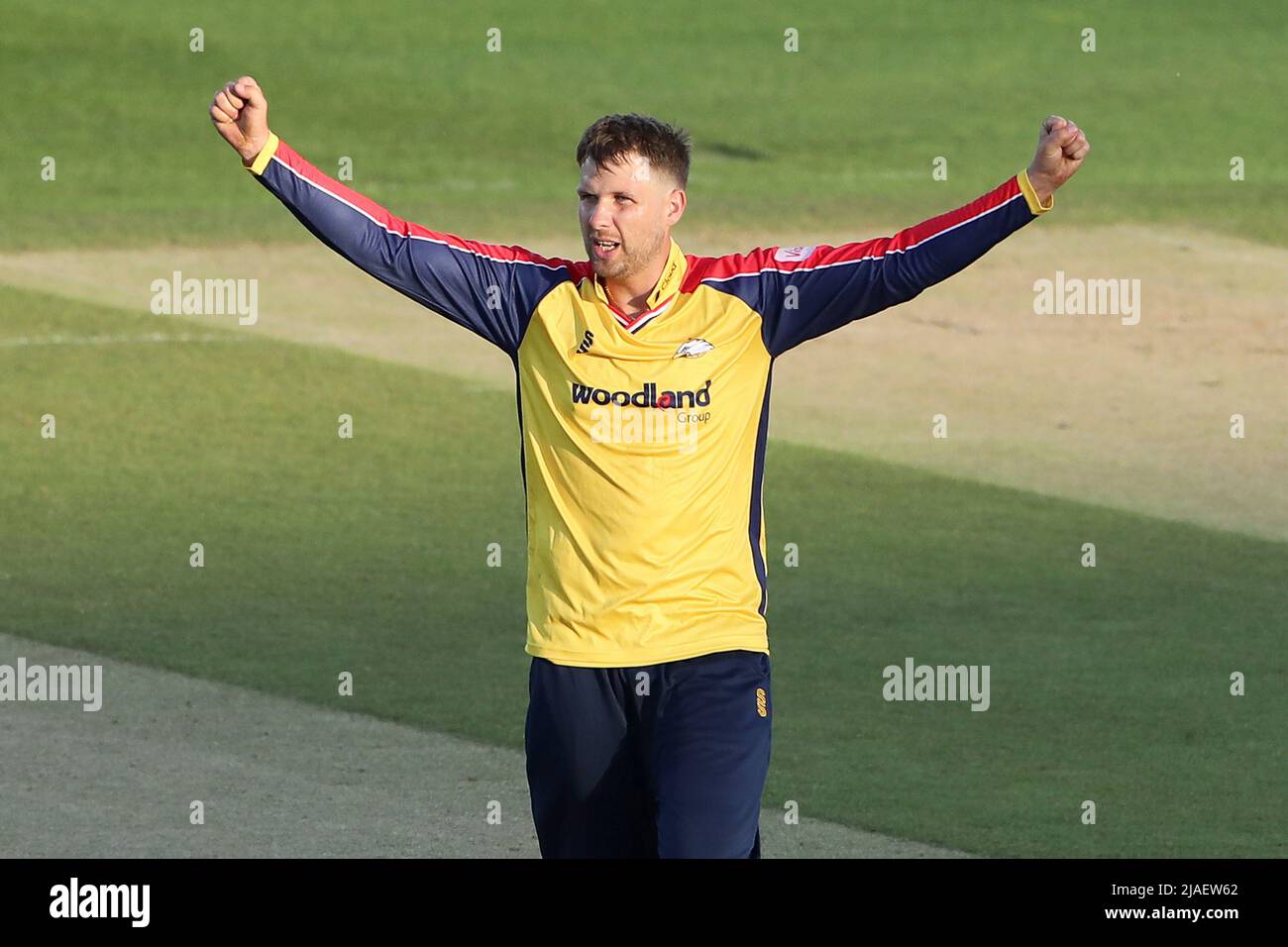 Matt Critchley of Essex celebrates taking the wicket of Jack Leaning ...
