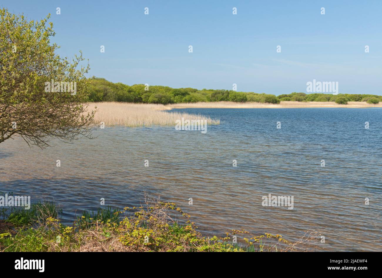 Kenfig Pool, Kenfig National Nature Reserve, Ton Kenfig, Bridgend ...