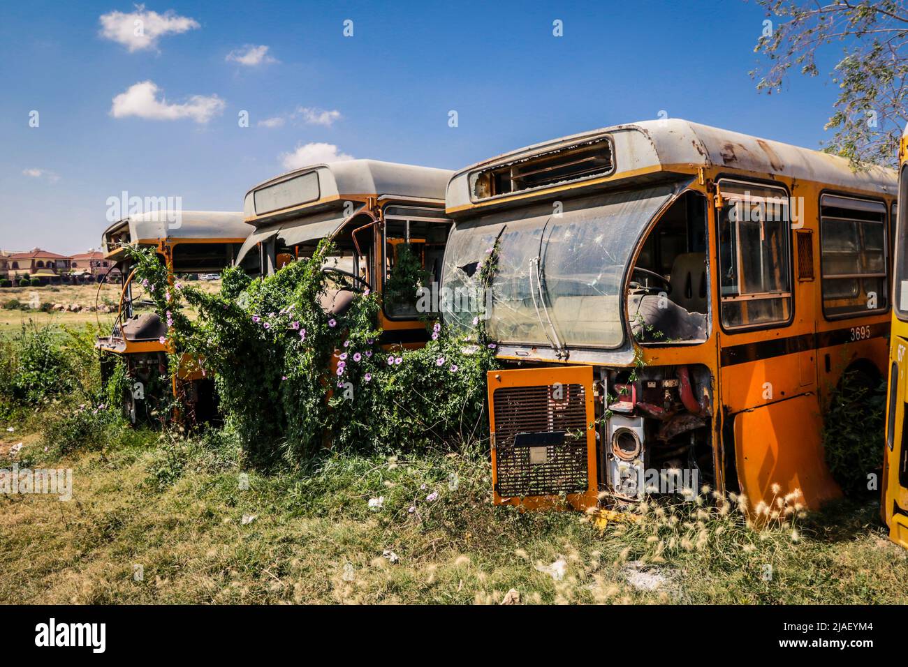 Rusted and Crushed Buses on the Tank Graveyard in Asmara, Eritrea Stock ...