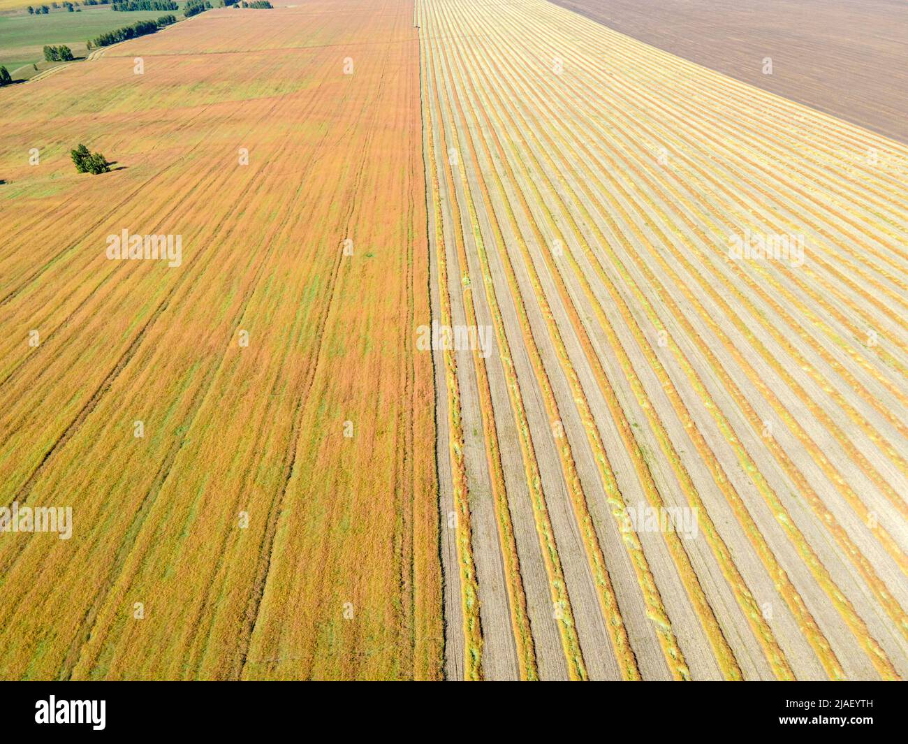 Polyculture farming hi-res stock photography and images - Alamy