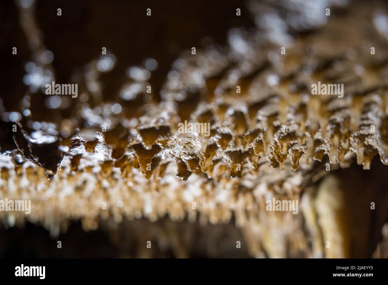 Jasov hi-res stock photography and images - Alamy