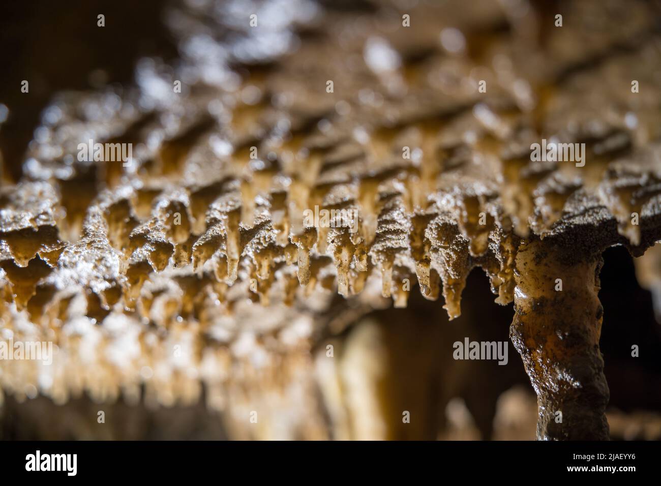 Jasov hi-res stock photography and images - Alamy