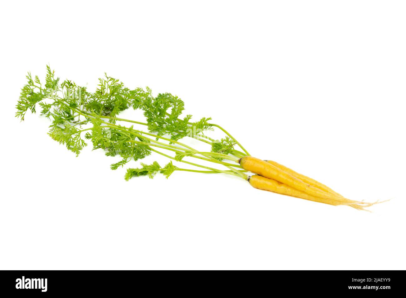Bunch of fresh yellow carrot isolated on white background Stock Photo ...