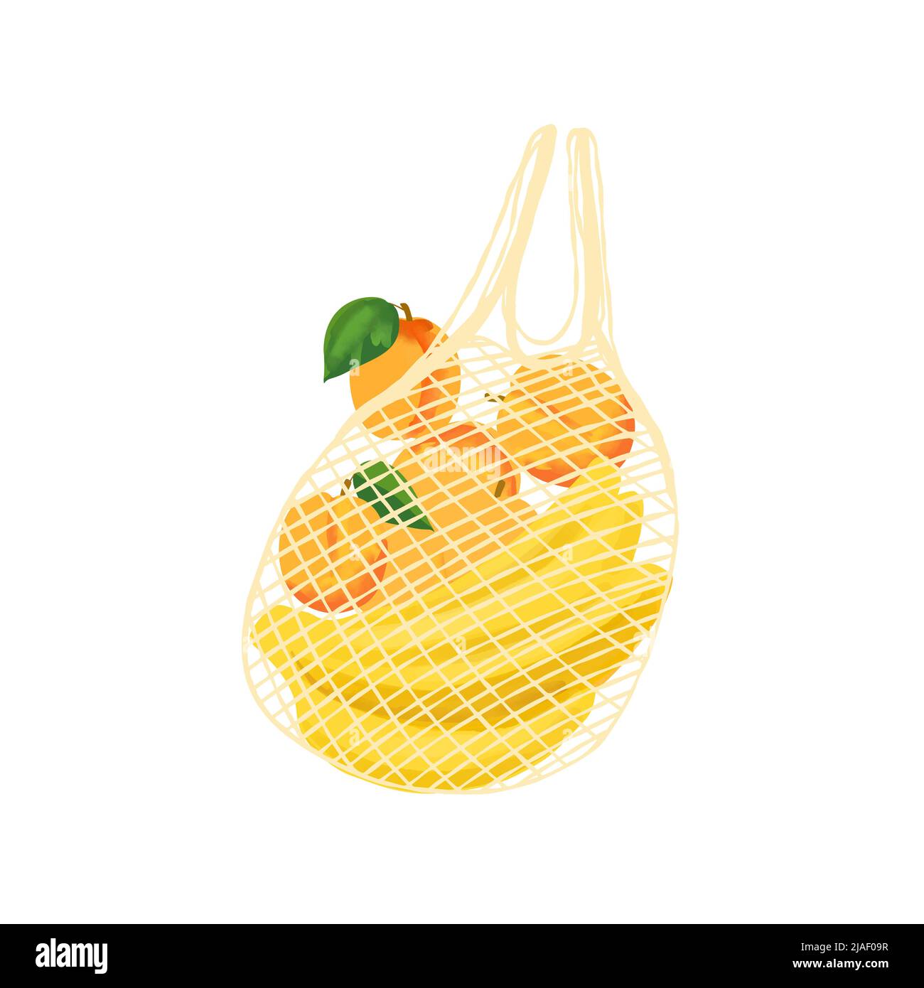 Illustration of mesh bag with fruits apricots and bananas on a white ...
