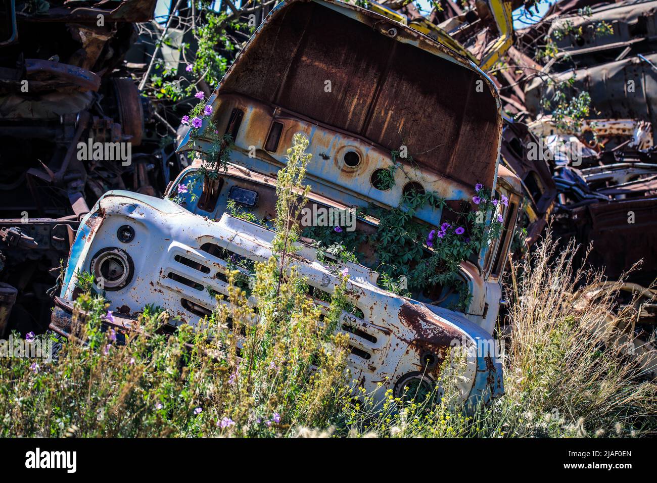 Abandoned Army Tanks on the Tank Graveyard in Asmara, Eritrea Stock ...