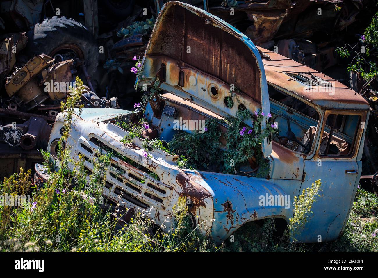 Abandoned Army Tanks on the Tank Graveyard in Asmara, Eritrea Stock ...