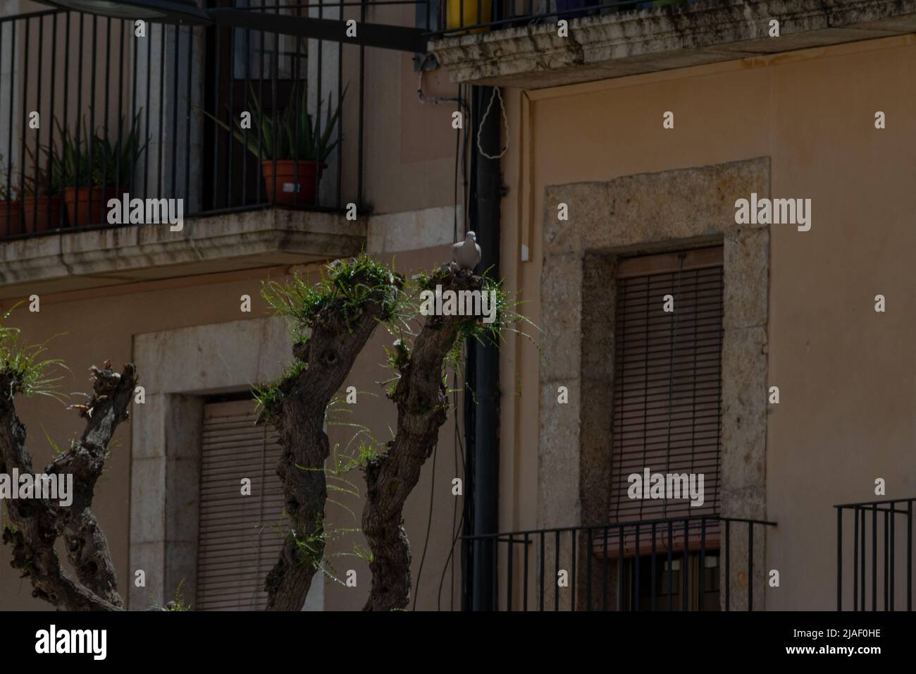 Each image tells us one moment of Catalunya, the colors,the ancient ...