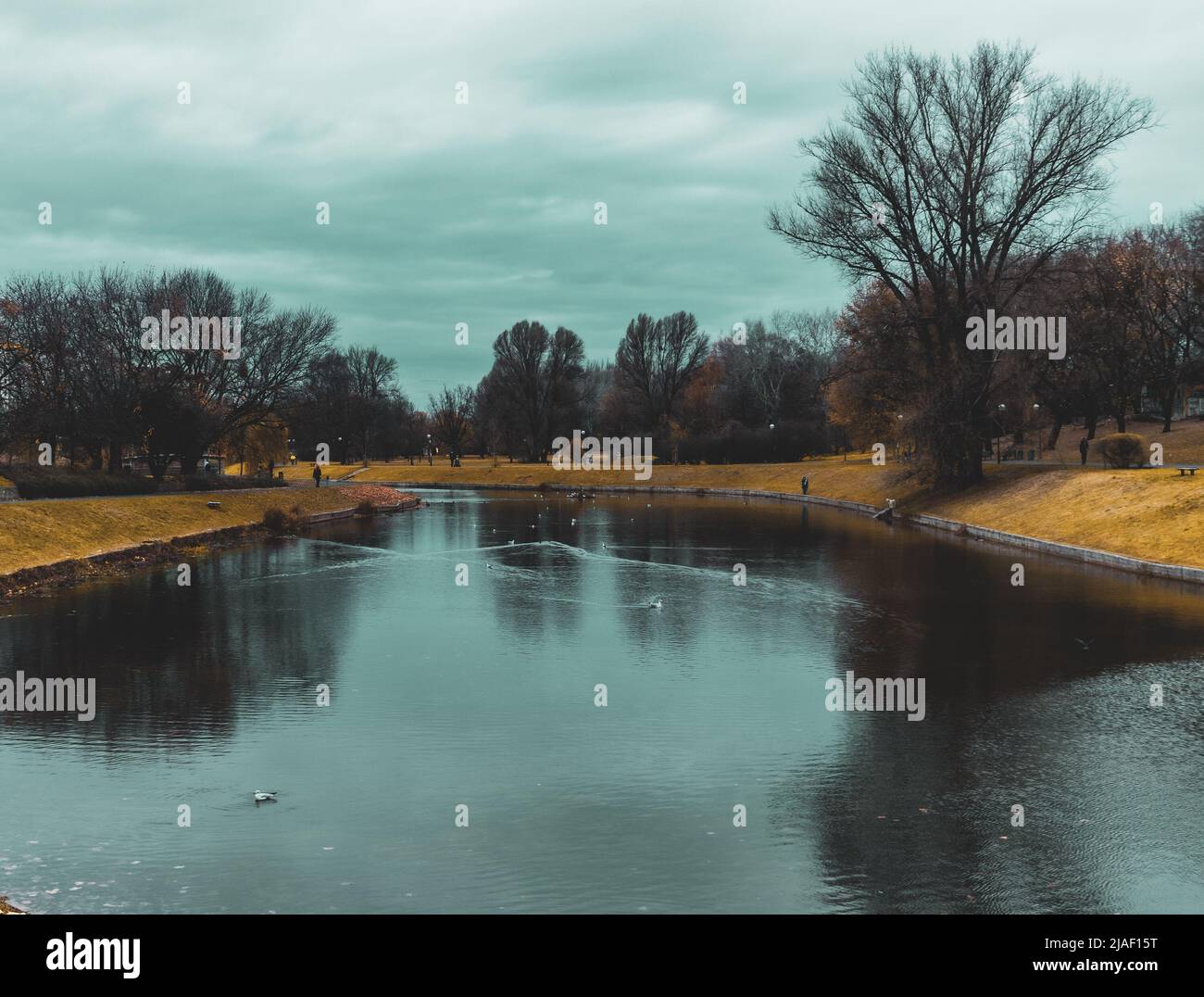 Beautiful pond view in a public park during autumn season Stock Photo ...