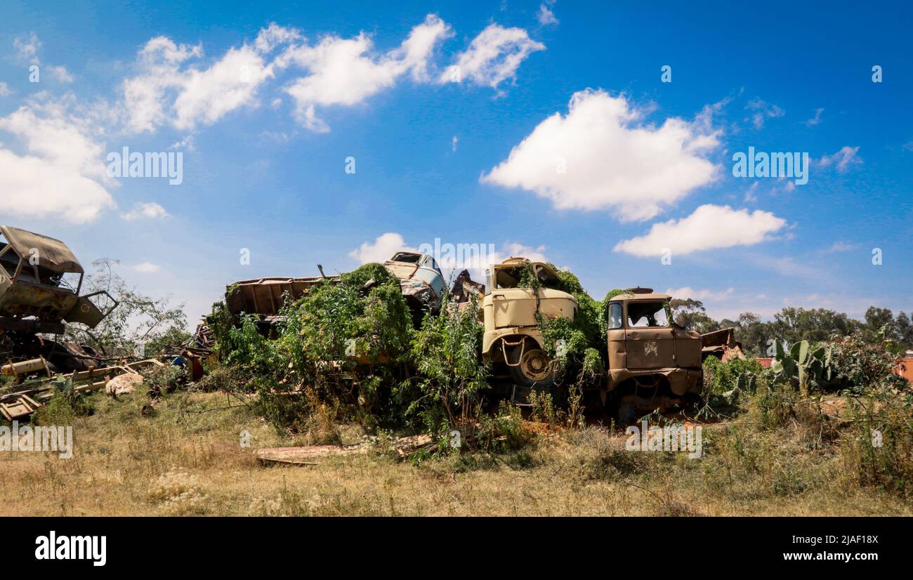 Abandoned Army Tanks on the Tank Graveyard in Asmara, Eritrea Stock ...