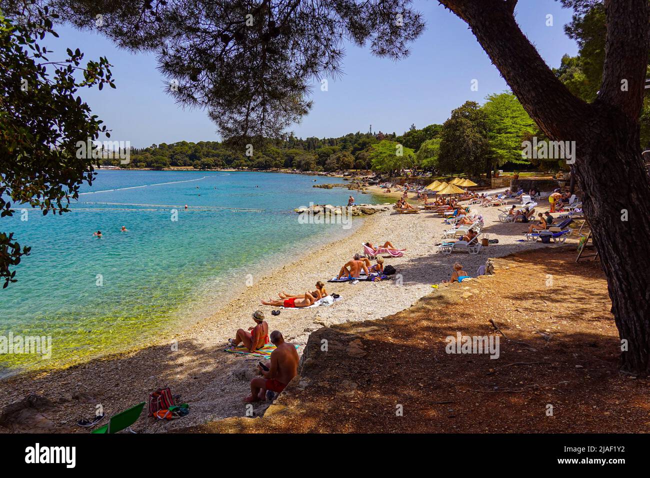Summer beach scene near the old town of Rovinj, Rovigno, Istria ...