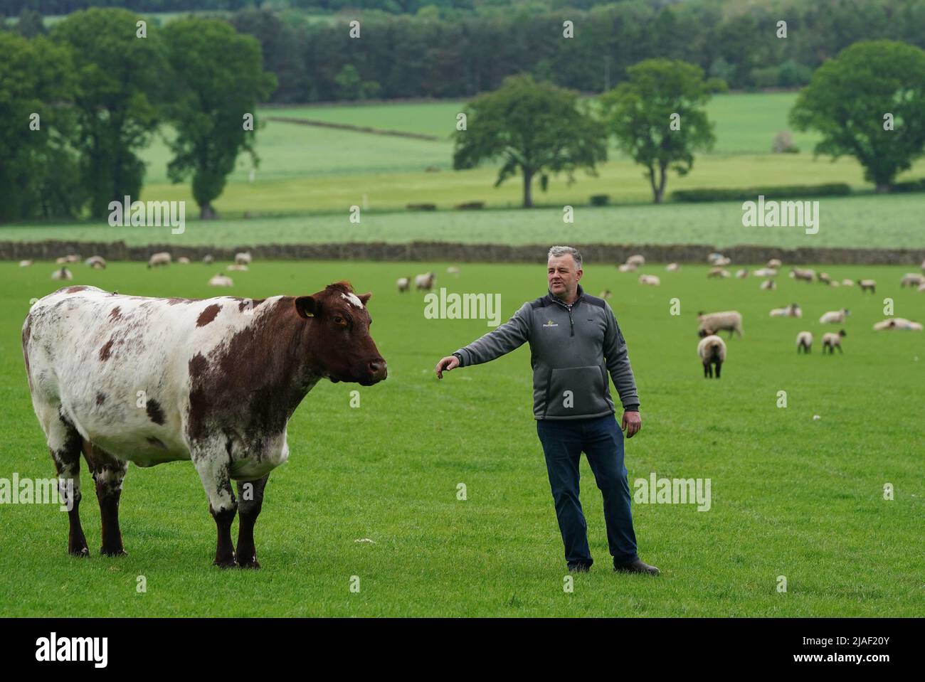 Pa2022 pamaphoto hi-res stock photography and images - Alamy