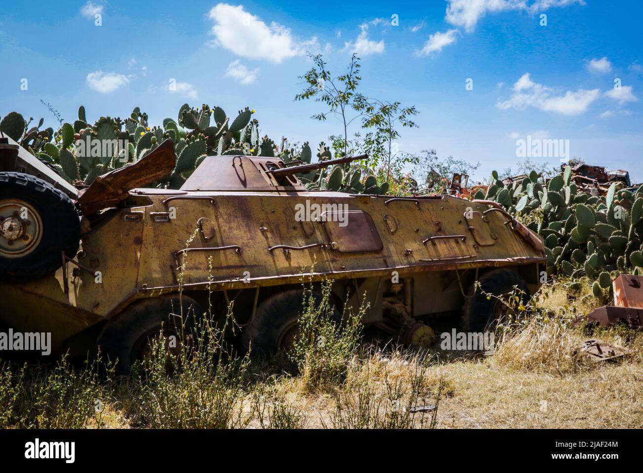 Destroyed War Machines and Tanks rounded by Cactuses on the Tank ...