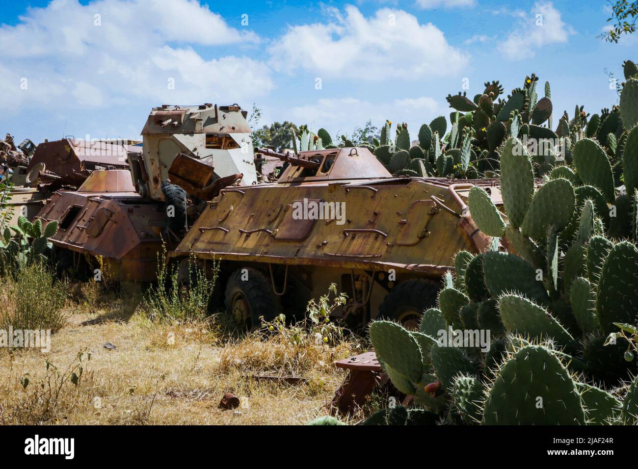Tank cemetery hi-res stock photography and images - Alamy