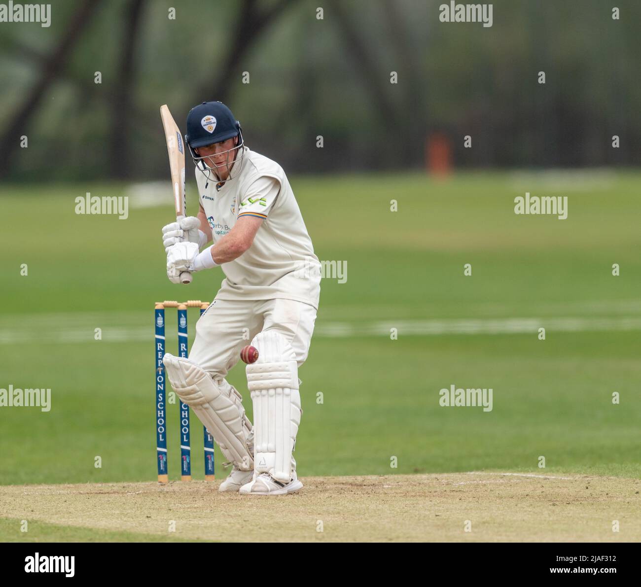 Harry Came batting for Derbyshire CCC 2nd XI against Durham in a Second ...