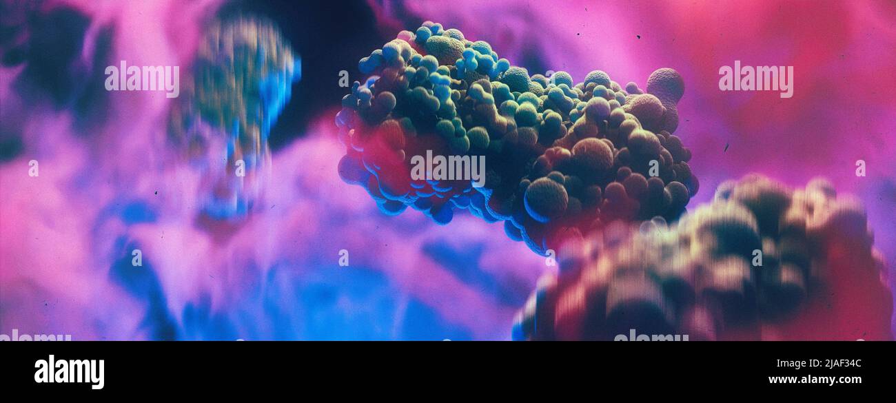 Monkeypox virus cells outbreak wide medical banner. Monkeypox virus ...