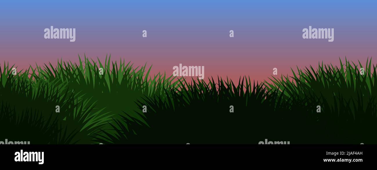 Grass. Morning view. Nature rural landscape. The pasture is overgrown ...