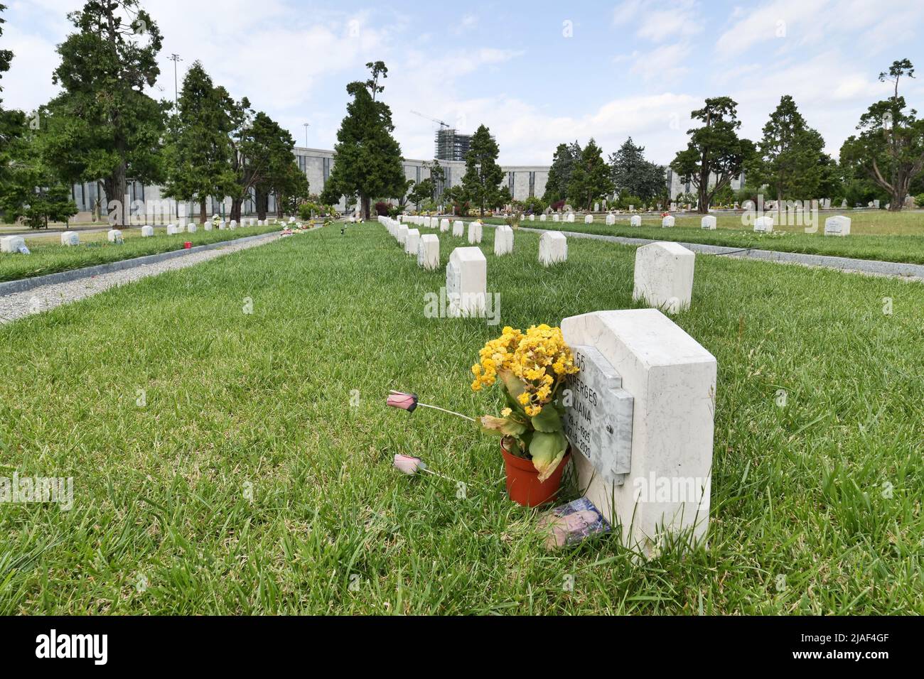 Field n.87 Musocco cemetery in Milan where over 120 peoples unknown ...