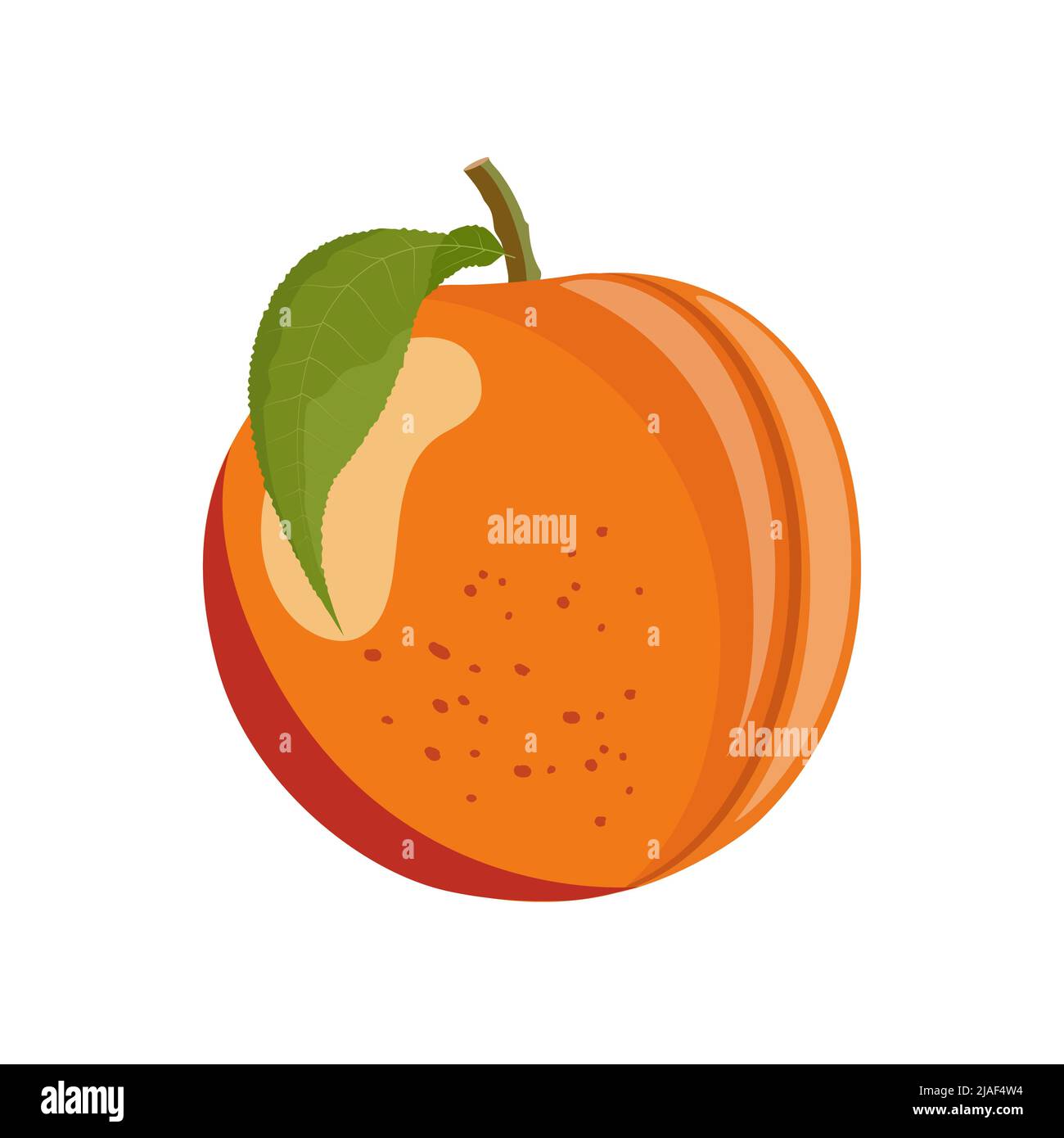 Nectarine with leaves, flat style vector illustration isolated on white ...