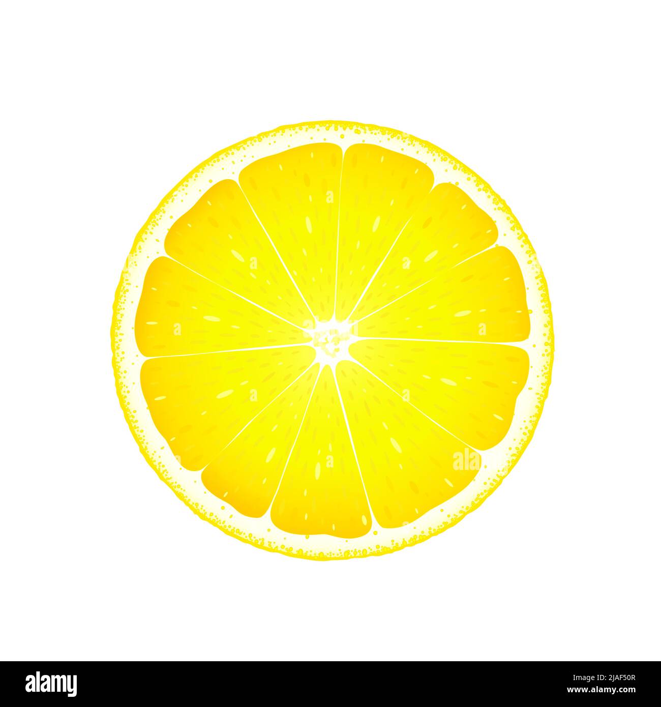 Lemon slice in cut, flat style vector illustration isolated on white ...